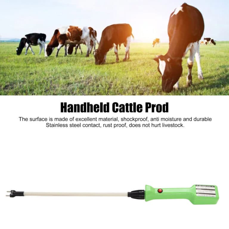 Cattle Prod: Understanding This Controversial Livestock Tool | Pro ...